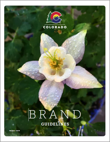 State Branding | DCS